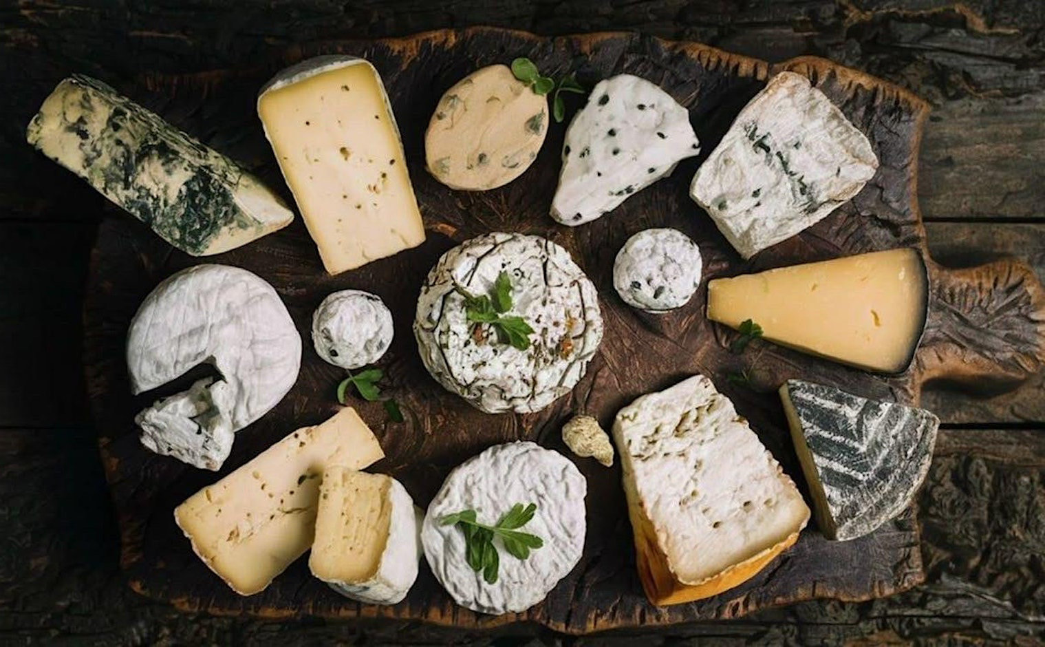 Cheeseland at the Beach | Celebration of Beer, Bread & Cheese - Fifty ...